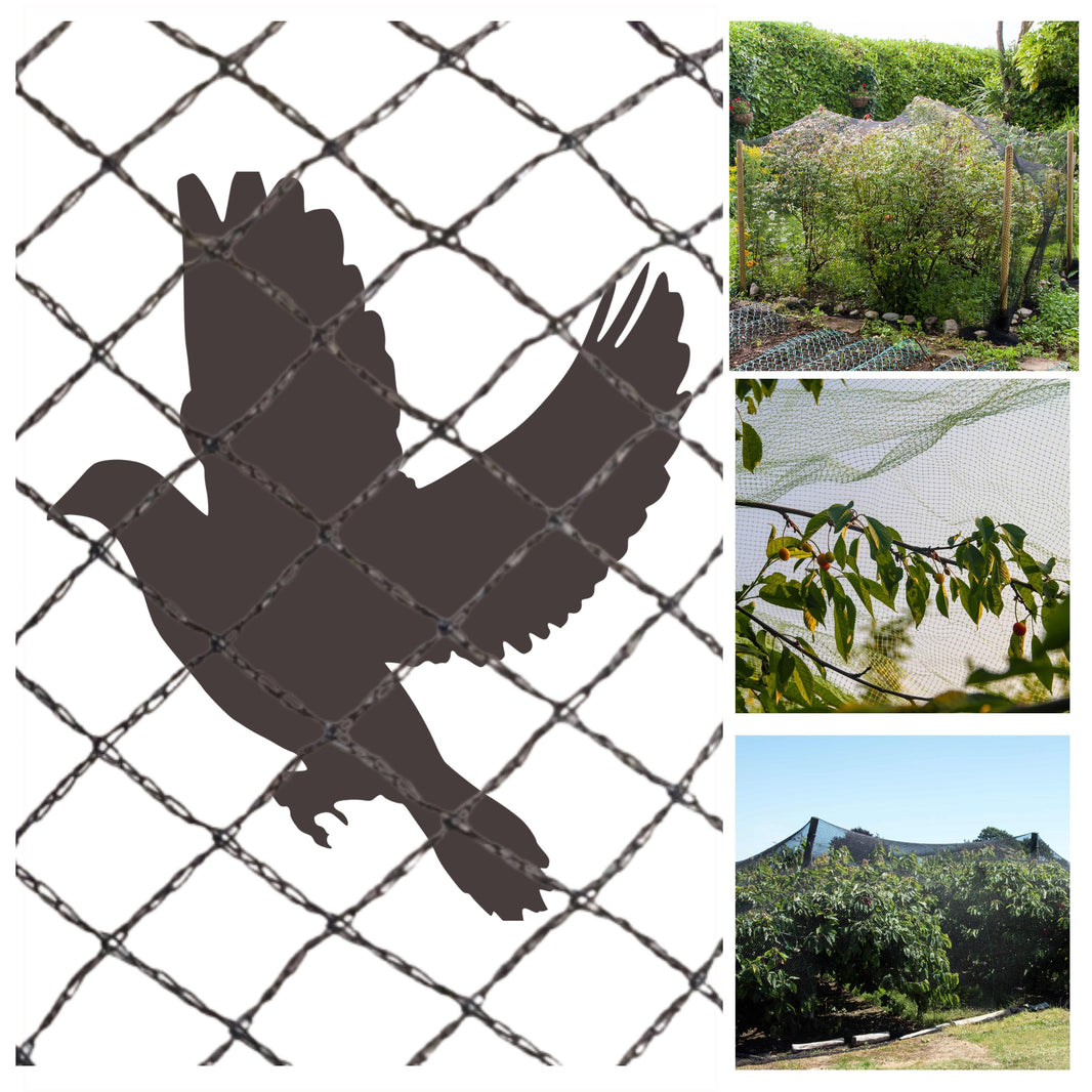 Bird Netting for Agriculture, Industrial & Homes | Ecogreen – Ecogreen ...
